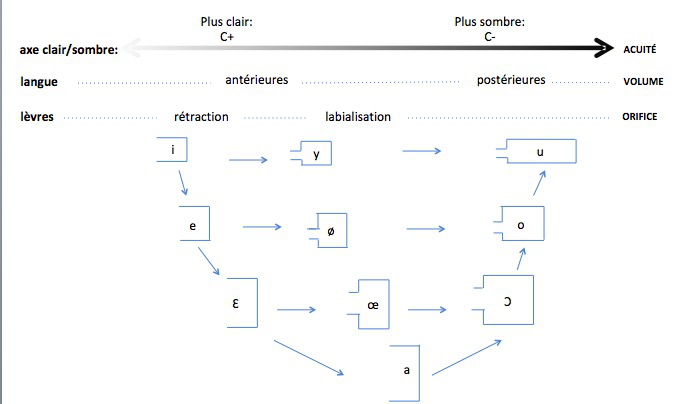 Phonétique du fle: les essenteils