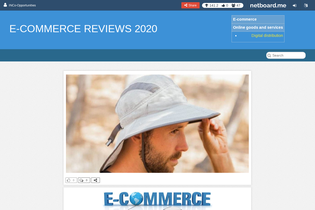 INCo-Opportunities VIRTUAL EMPLOYMENT INDUSTRY profile