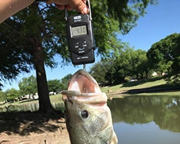 Top Selling Portable Fish Weighing Scales 2017-201